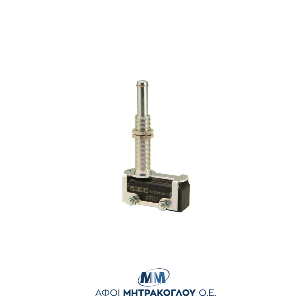 Τερματικός Μικροδιακόπτης Emas MN1 series | 1CO επαφή | 6A (250V AC)